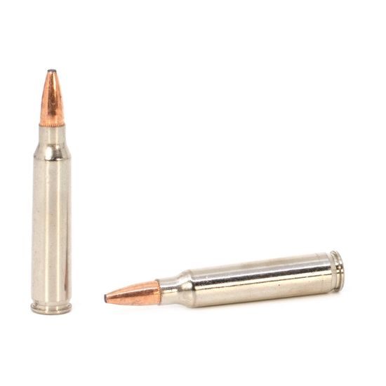 Shell Shocked Ammunition | Speer Gold Dot 223rem 55gr GDSP 24446 - 20 ...